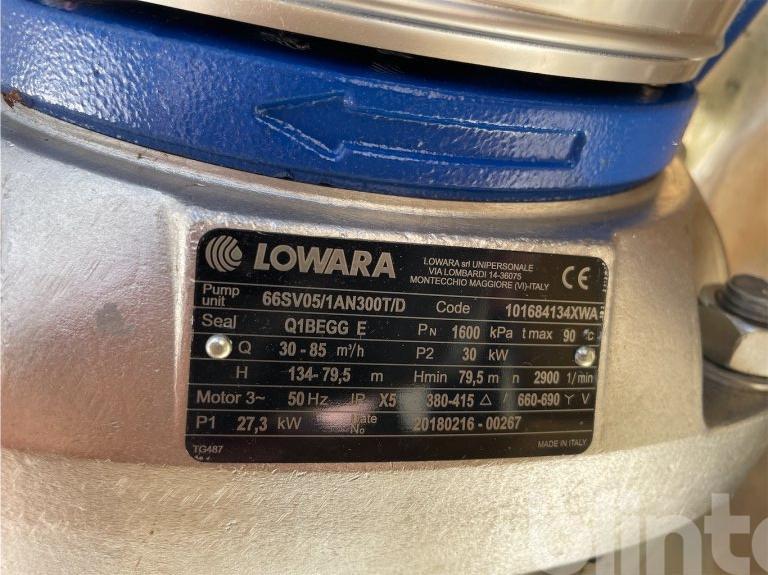 Pumpe - Lowara Pumpe mit Motor | Blinto